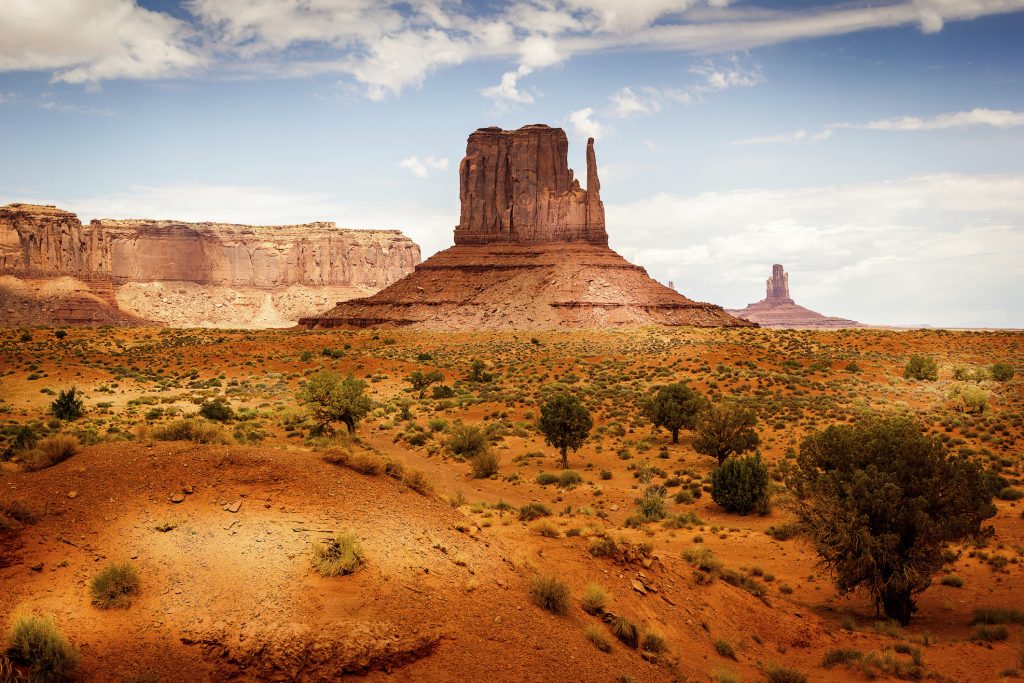 ولاية أريزونا الأميركية والإجهاض - Voice of Lebanon - صوت لبنان